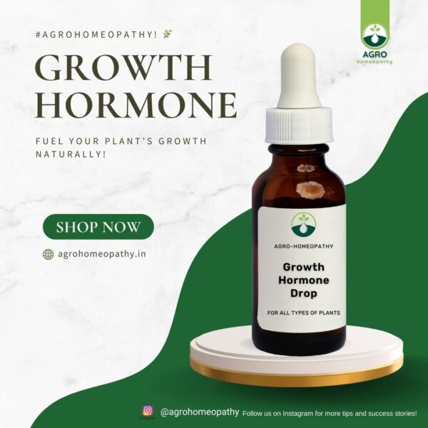 Growth Hormone Drop – Agro Homeopathy