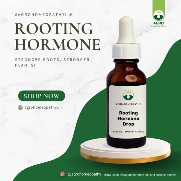 Rooting Hormone Drop – Agro Homeopathy