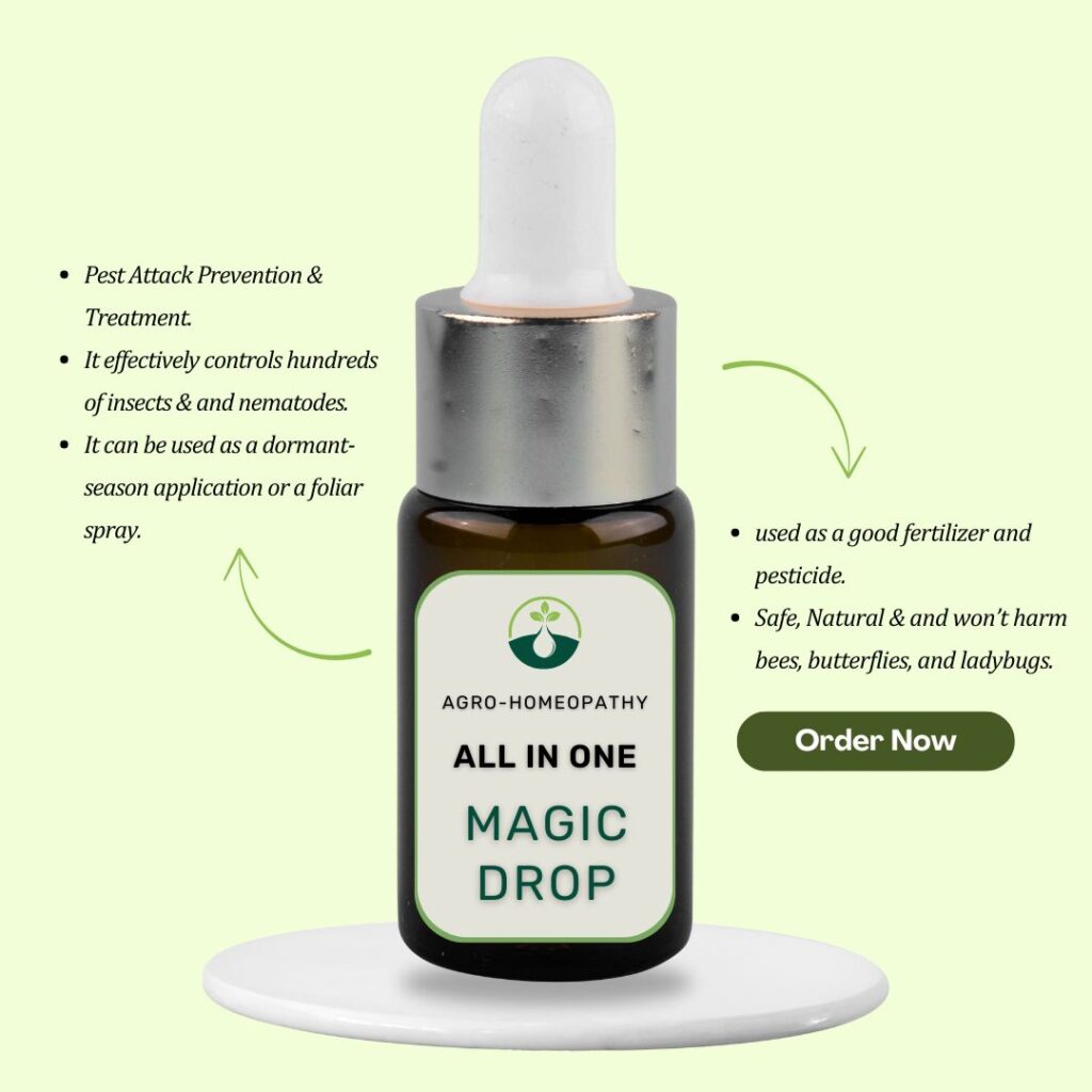 Agro Homeopathy – Healing Beyond Humans